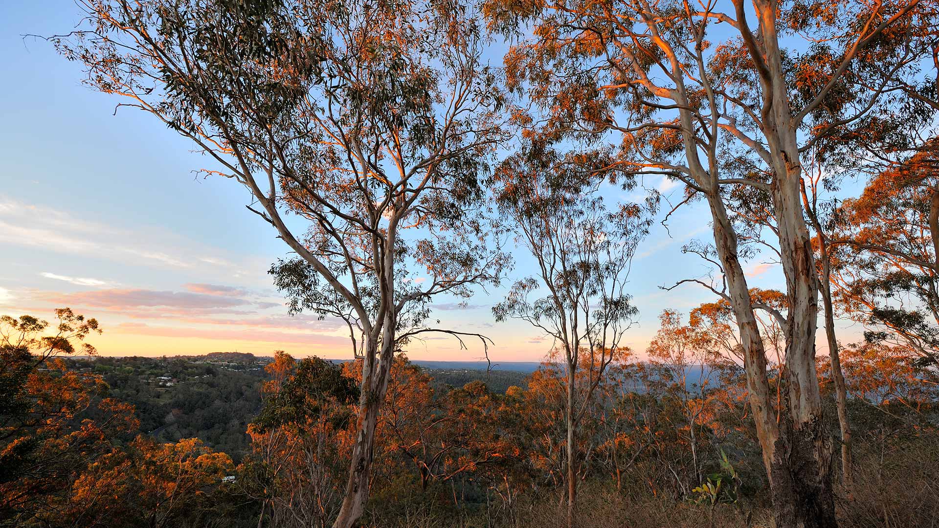 ACRRM Training Regions